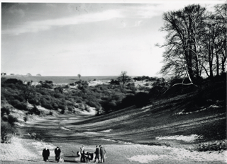 History home page | Friends of Colwick Woods